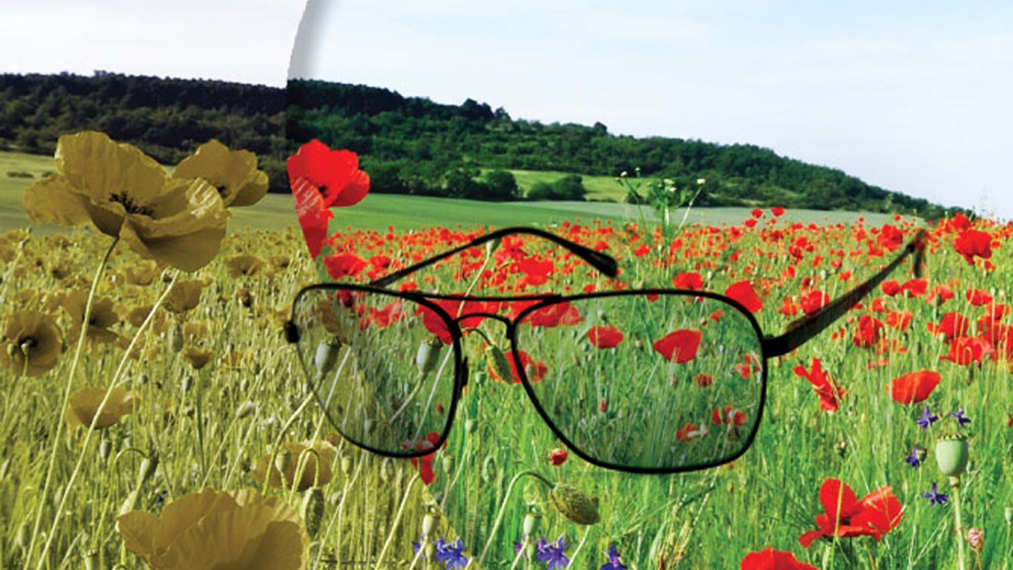 Her er briller for fargeblinde - Tek.no