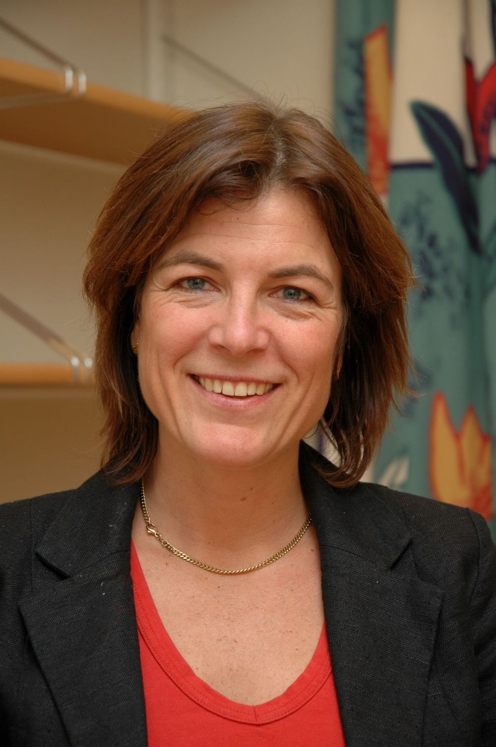 Vingestekker datakrimsenter - Tu.no