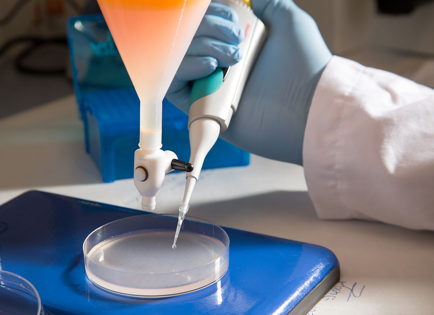 Har funnet en mal for å identifisere genene som gjør oss syke. Nå ...