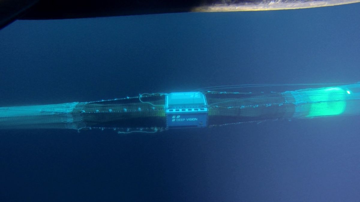 Nå blir fisken fotografert og målt på vei inn i trålen - Tu.no