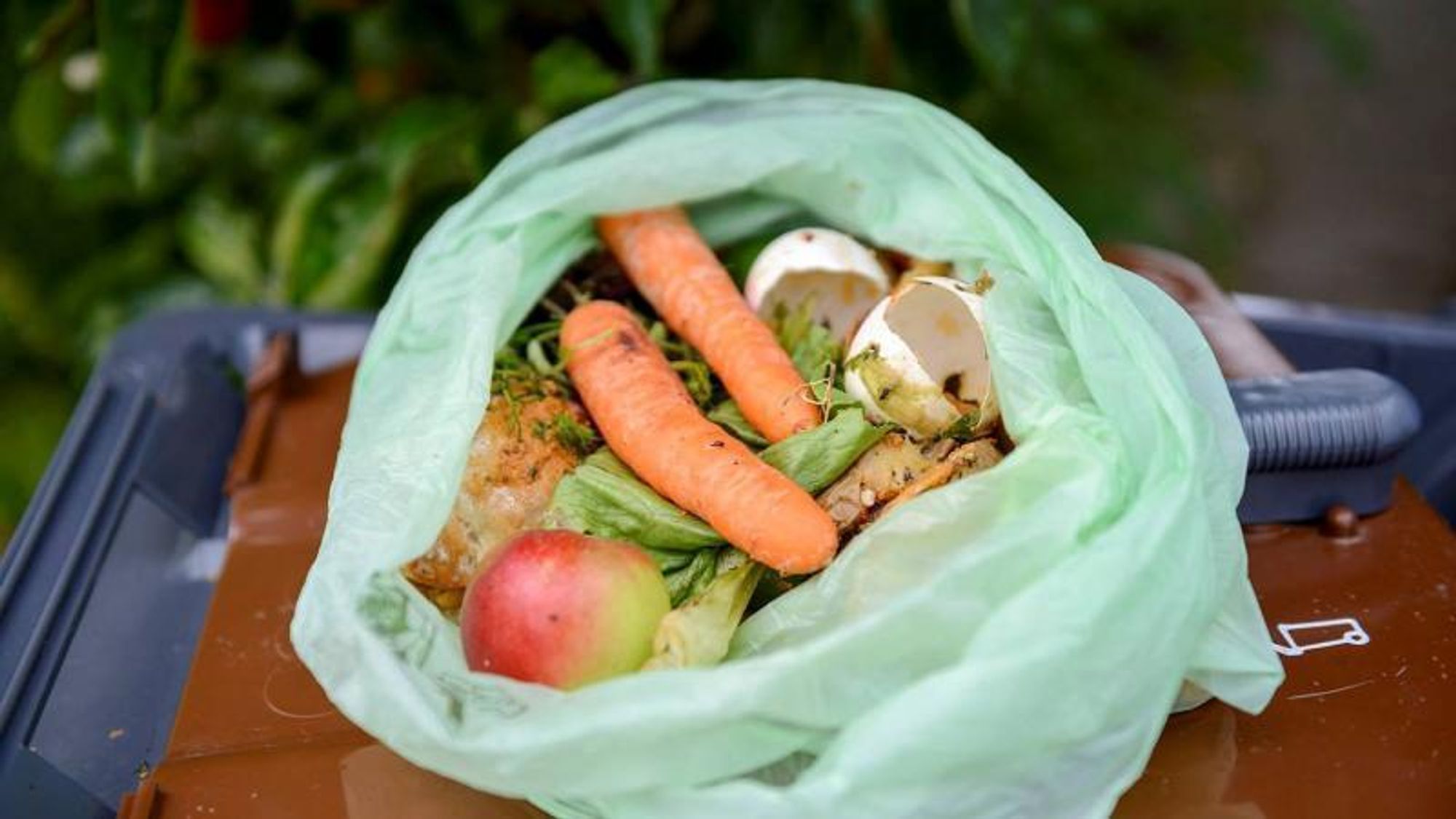 Bioplast utgjør under 1 prosent av de over 320 millioner tonn plast som ...