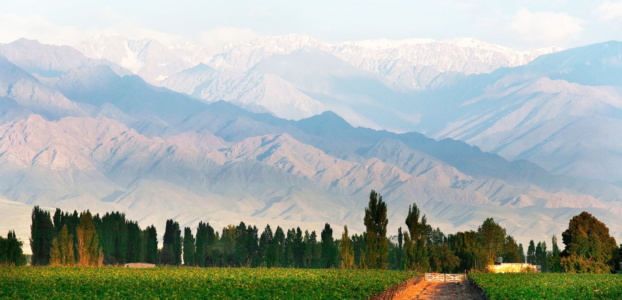 MATKURS OG VINKURS: Winemakers Dinner: Argentinske viner til lekker 4 ...